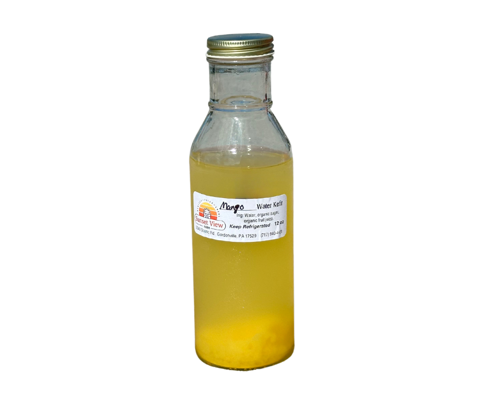 Mango Water Kefir | Refreshing Fermented Mango Beverage